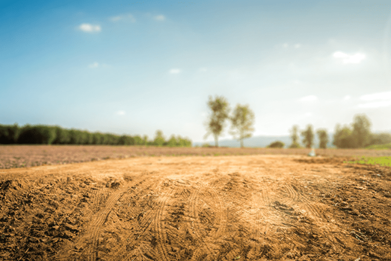 Everything to Know About Land Loans | BankSouth Blog