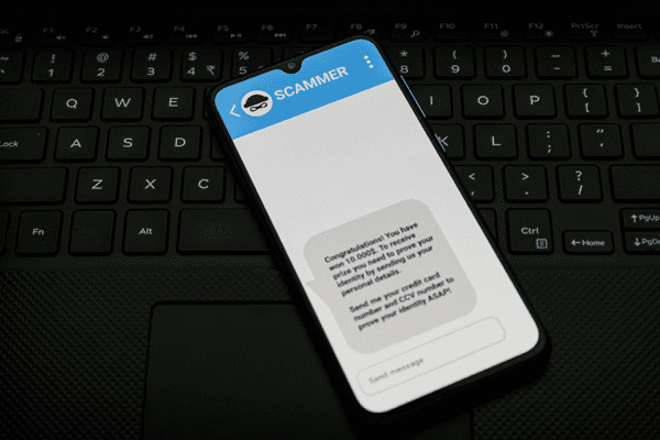Protect Yourself From Online Scams Banksouth Blog 9008